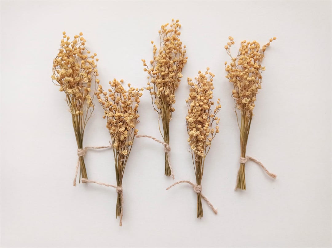 1 Dried Lilies of the Valley Bouquet, Beige Mini Flowers, Tiny ...