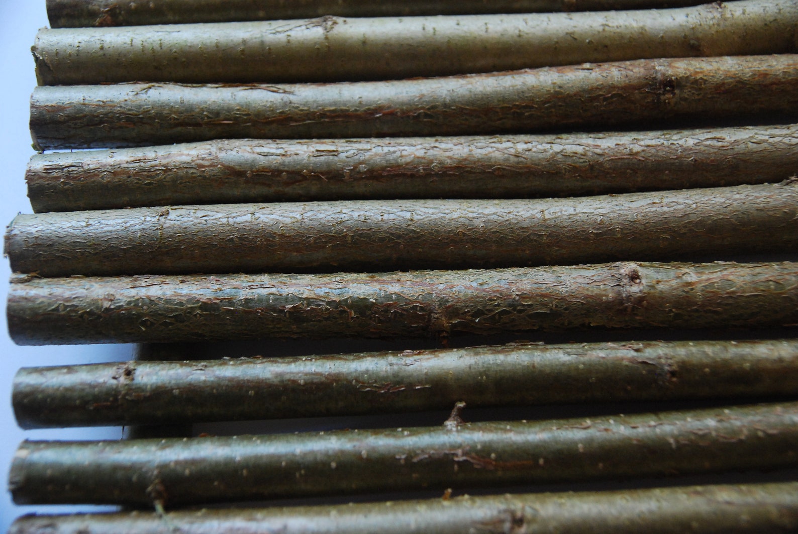 Natural Hazel Wood Branch, Wand Making Supply, Craft Decor (12'') - Etsy