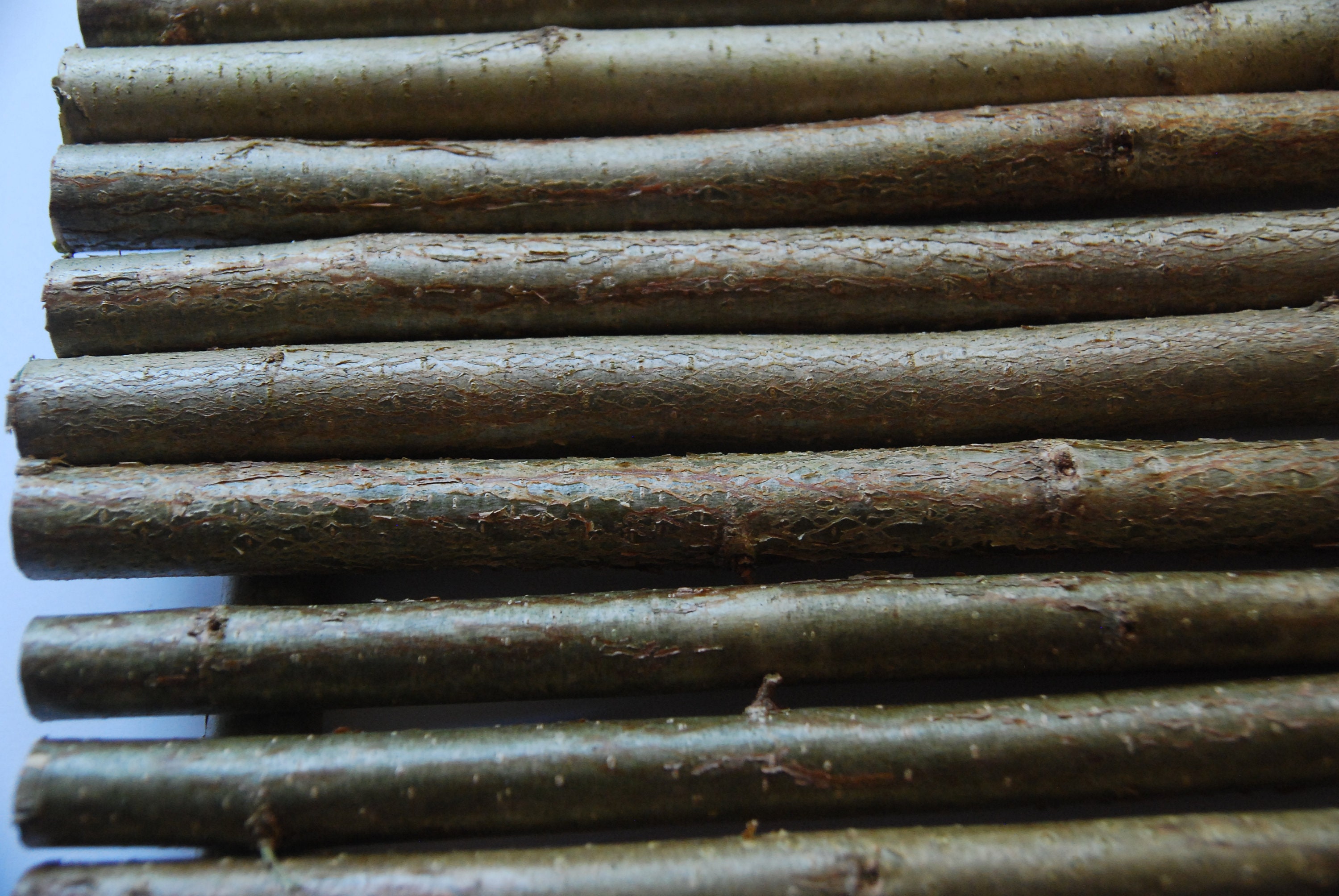 Natural Hazel Wood Branch, Wand Making Supply, Craft Decor (12'') - Etsy