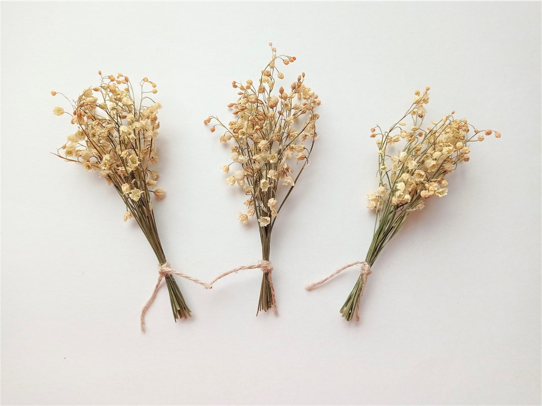 1 Dried Lilies of the Valley Bouquet, Beige Mini Flowers, Tiny ...