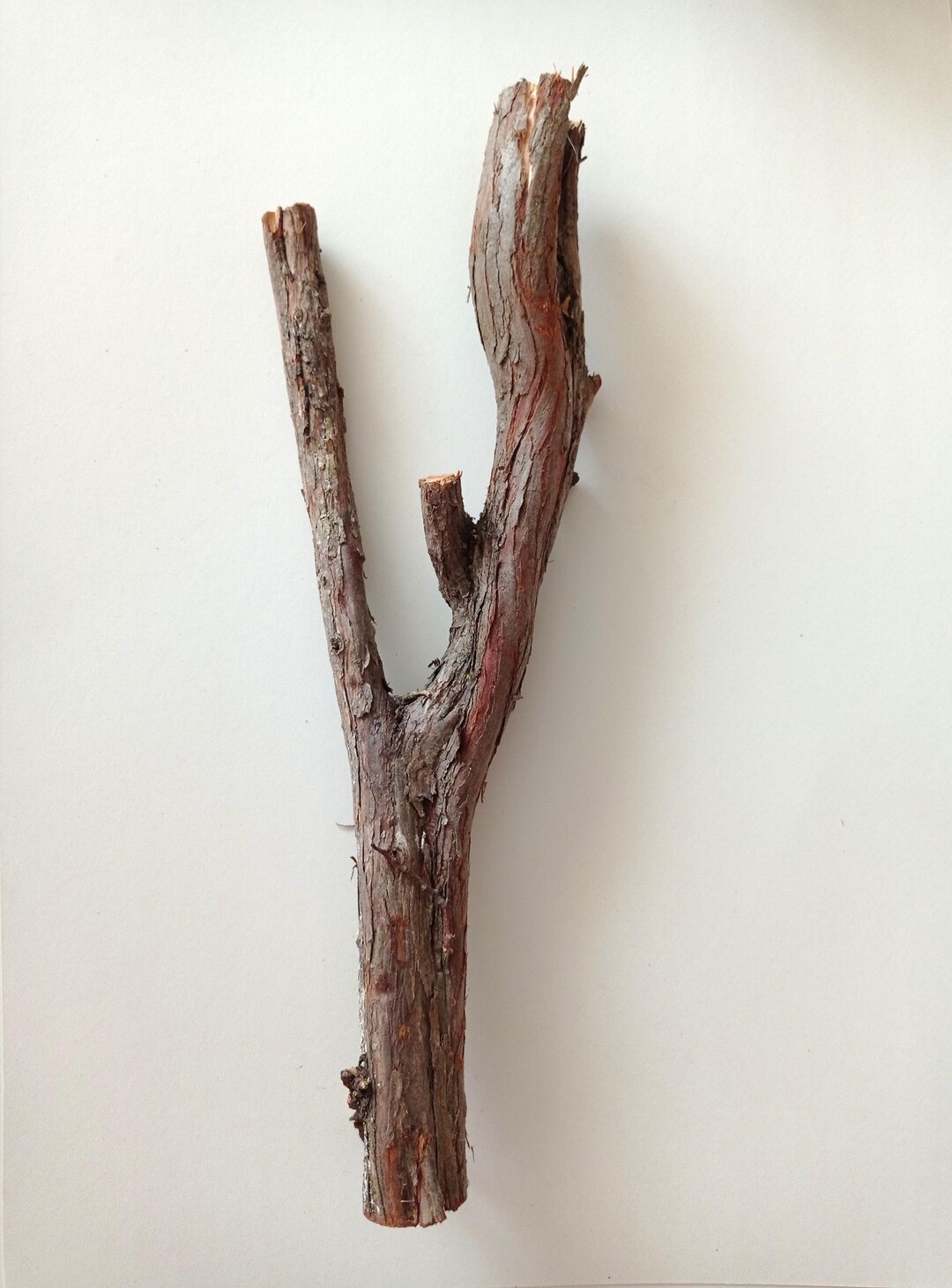 Unique Juniper Wand, Juniper Tree Branch, Wood Crafts Supply, One ...