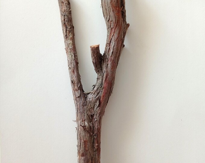 Unique Juniper Wand, Juniper Tree Branch, Wood Crafts Supply, One ...