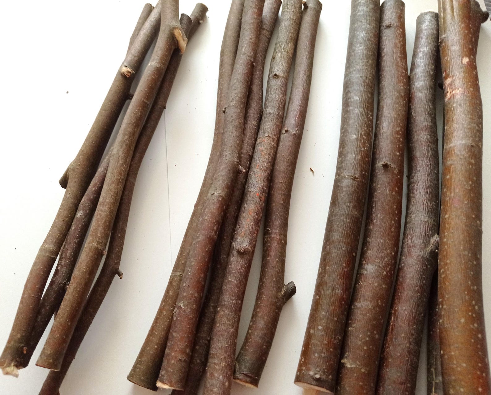 Linden Stick 12", One Tilia Stick, Wood Craft Supply for Wand Making - Etsy