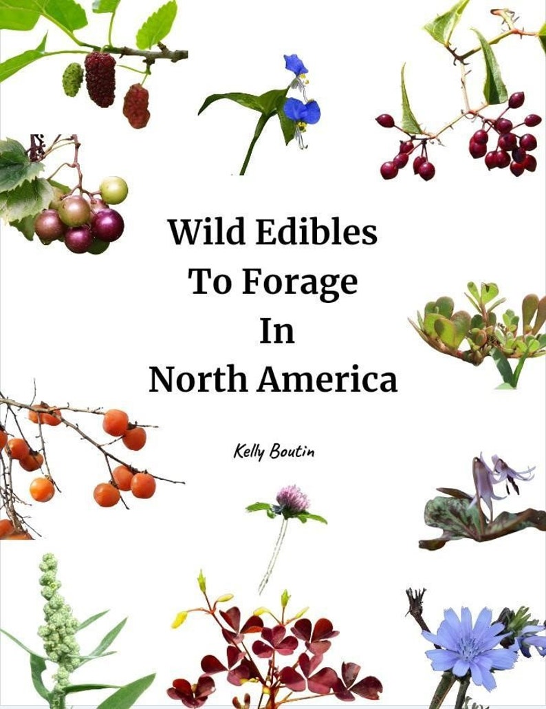 Wild Edibles to Forage in North America Ebook by Kelly Boutin - Etsy