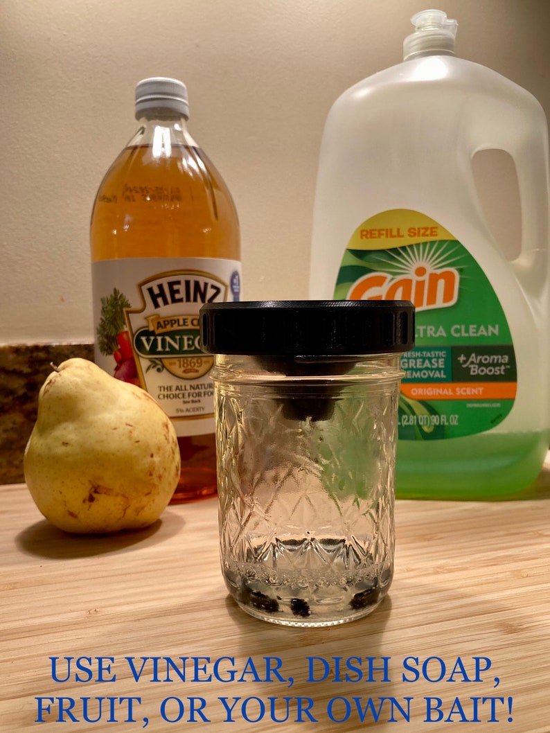 Fruit Fly Mason Jar Trap | Fruit Fly Catcher Mason Jar Lid | Kitchen ...