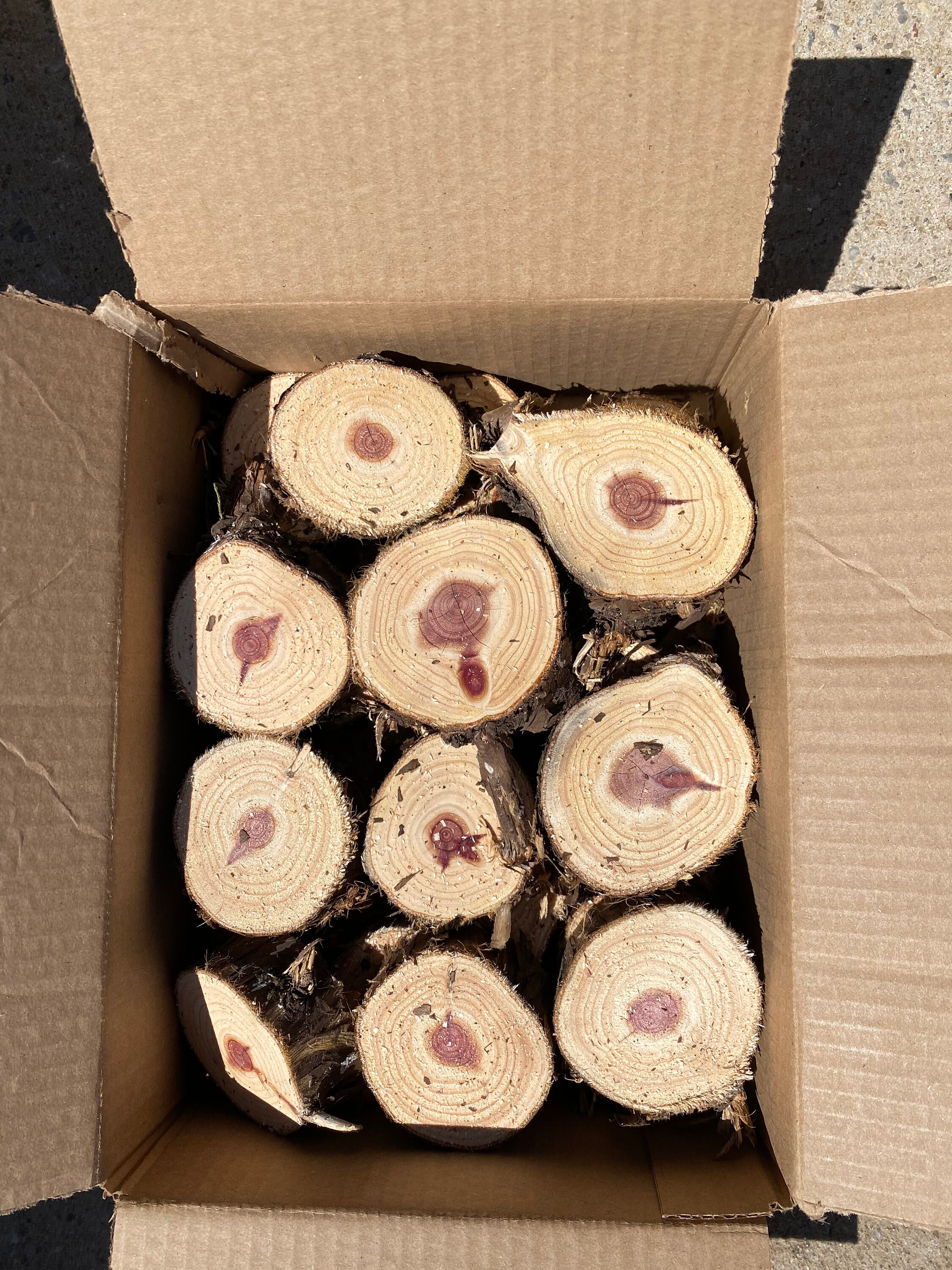 Raw CEDAR Rounds - Etsy