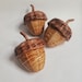 A Set of Three Nuts acorns.acorn Walnut for Children's - Etsy