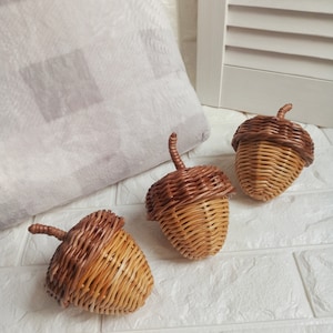 A Set of Three Nuts ,acorns.acorn, Walnut for Children's Room Decor ...