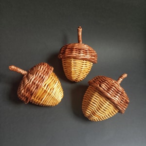 A Set of Three Nuts ,acorns.acorn, Walnut for Children's Room Decor ...