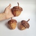 A Set of Three Nuts acorns.acorn Walnut for Children's - Etsy