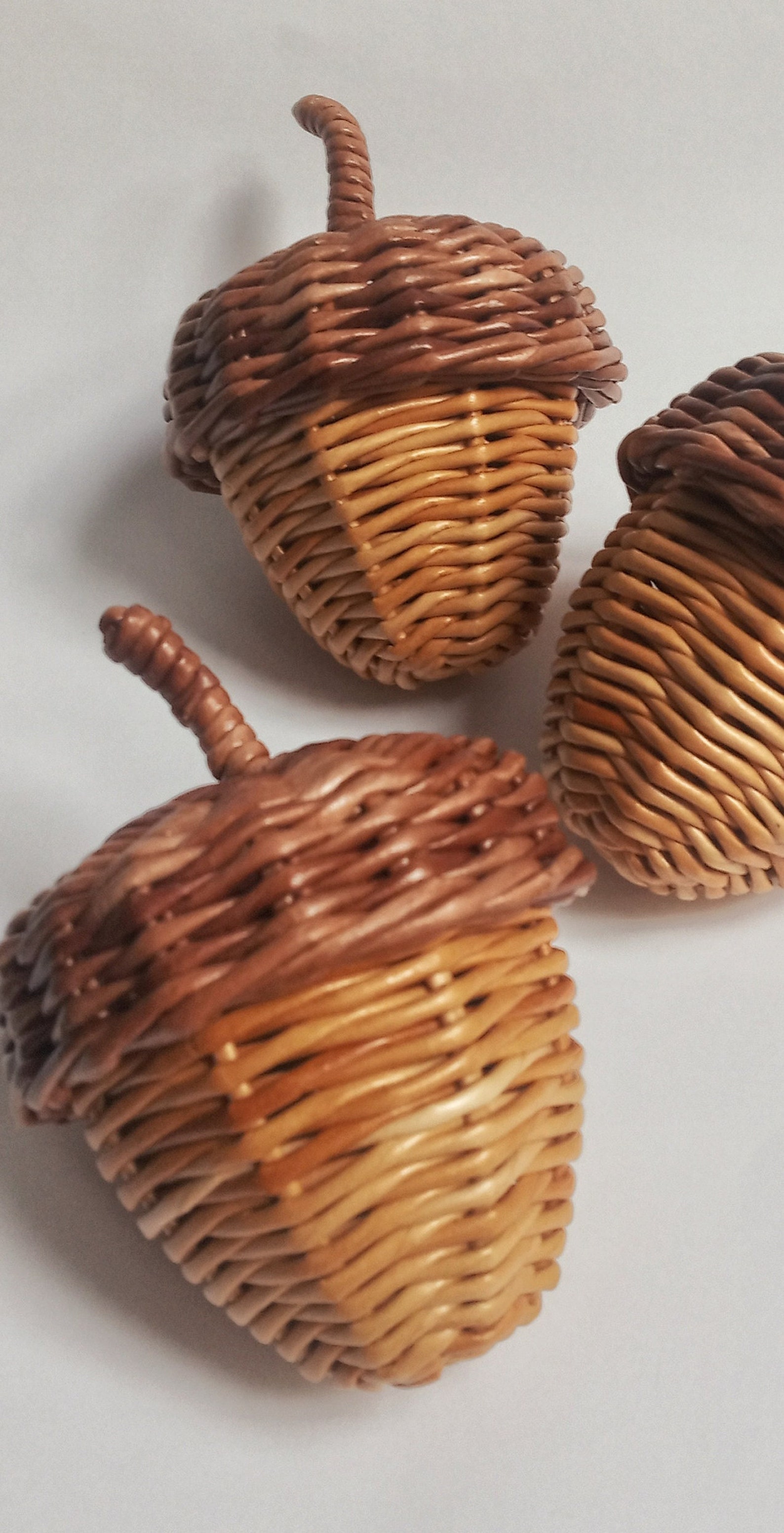 A Set of Three Nuts ,acorns.acorn, Walnut for Children's Room Decor ...