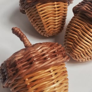 A Set of Three Nuts ,acorns.acorn, Walnut for Children's Room Decor ...