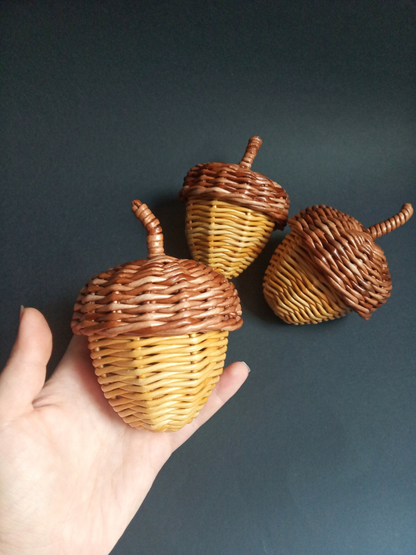 A Set of Three Nuts ,acorns.acorn, Walnut for Children's Room Decor ...