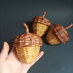 A Set of Three Nuts ,acorns.acorn, Walnut for Children's Room Decor ...