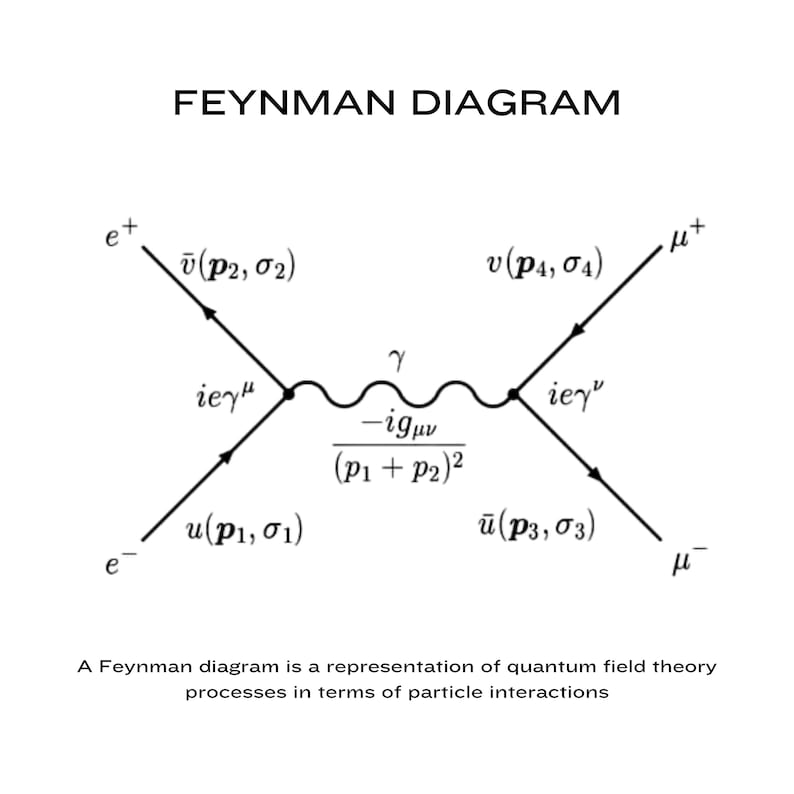 Feynman Diagram T-shirt, Physics Professor Gift, Physics Teacher Shirt ...