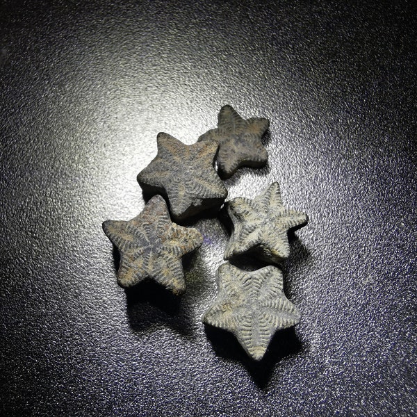 Fossil Rock - Etsy