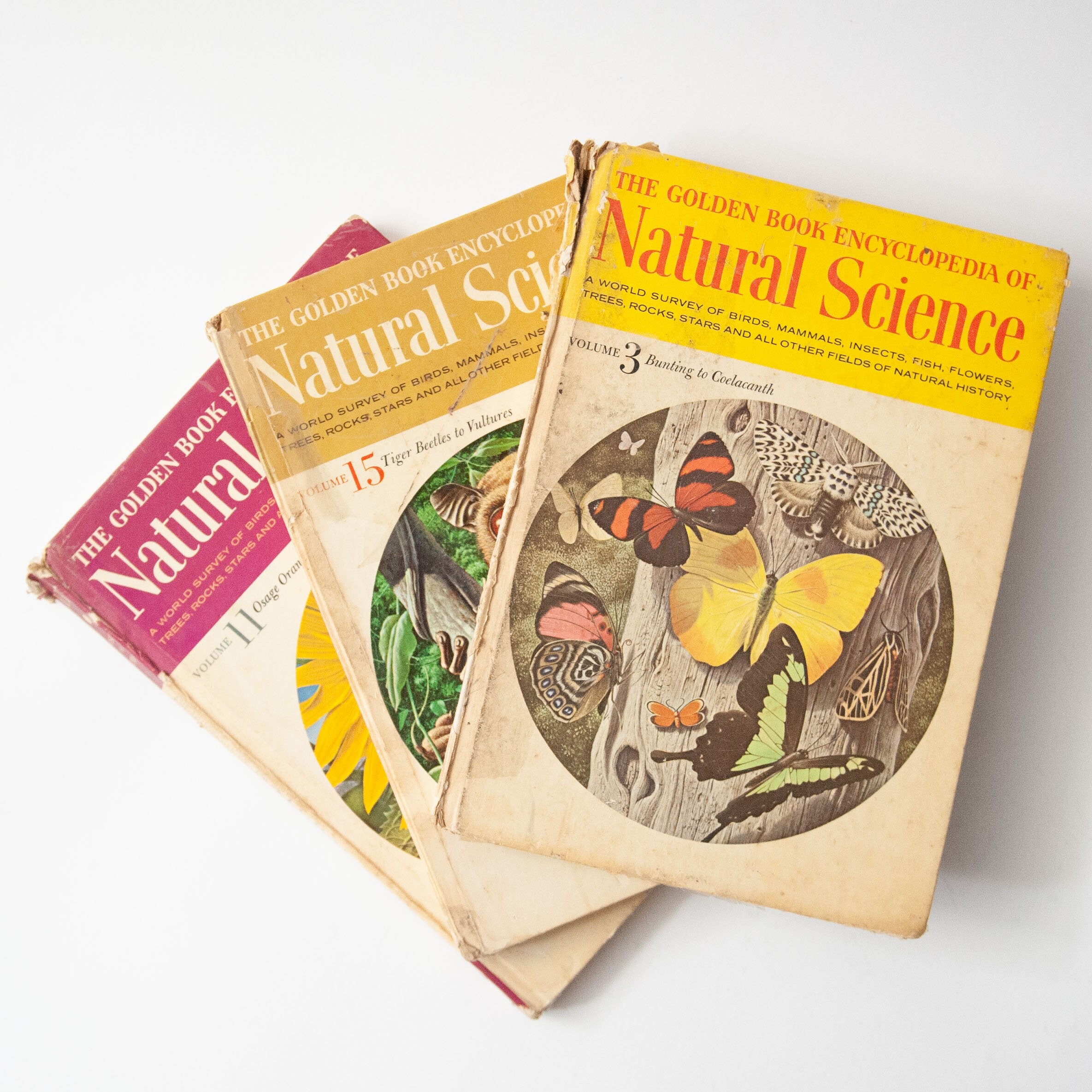 Set of 3 Vintage 1962 Golden Book Encyclopedia of Natural Science Books ...