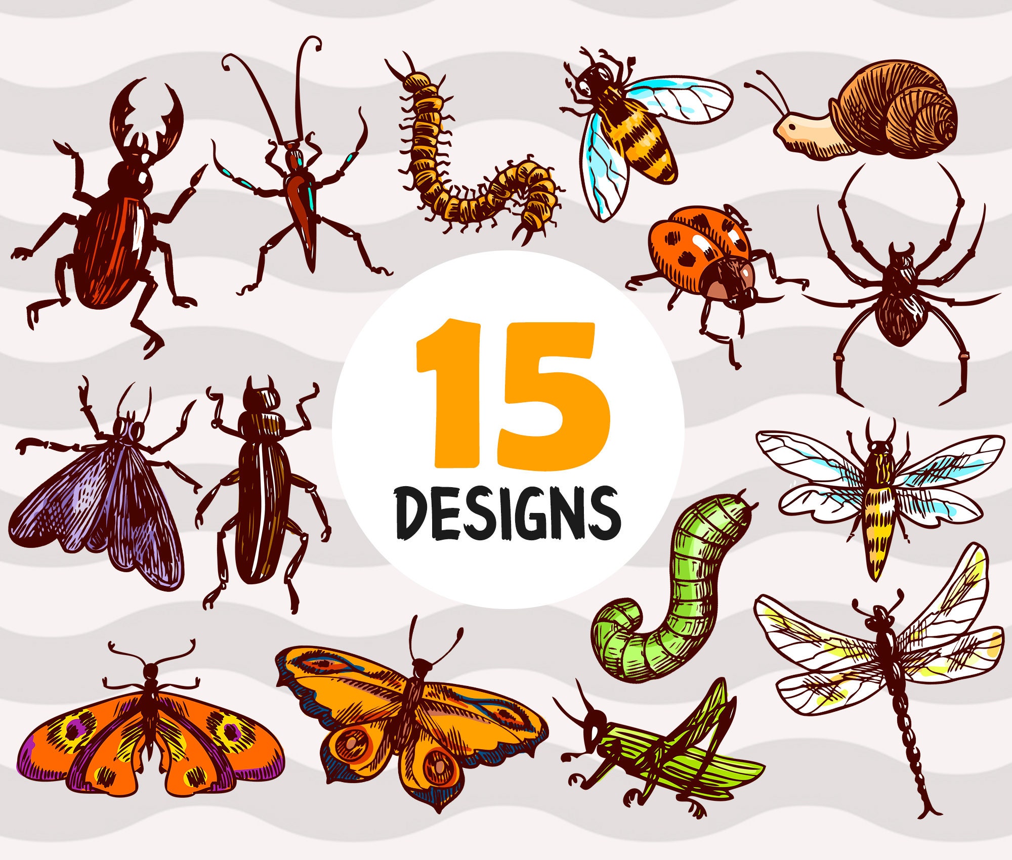 Insect Sketch Svg,insect Svg, Bug Svg, Insects Svg,insect Clipart ...