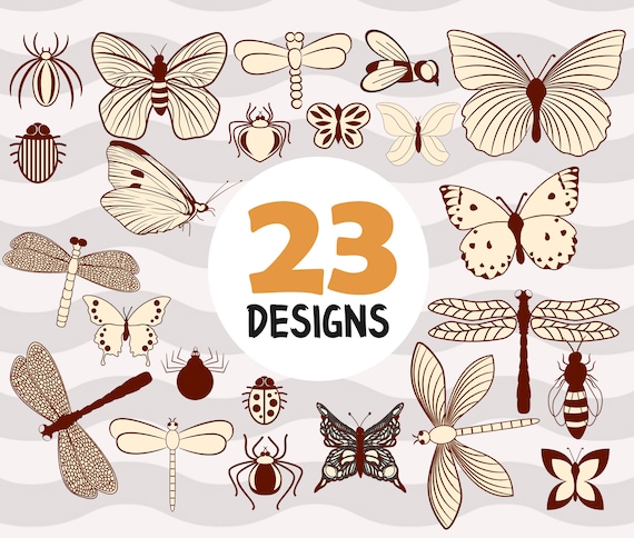 Insecto svg insecto svg insectos svg insecto clipart | Etsy