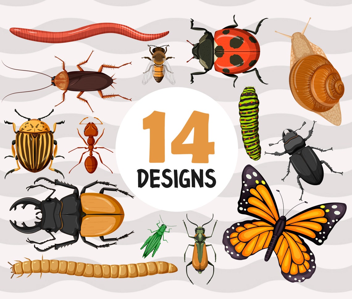 Insects Svg,insect Bundle Svg,insect Clipart,insect Vector,butterfly ...
