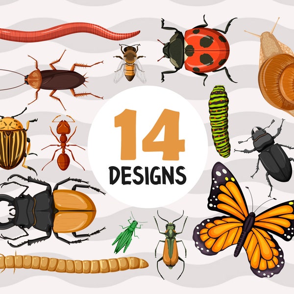 Insect Clipart - Etsy