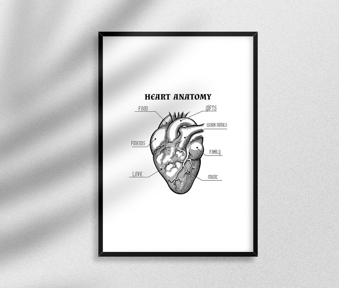 Heart Anatomy Aesthetic Vector SVG Design, Illustration Heart Black SVG ...