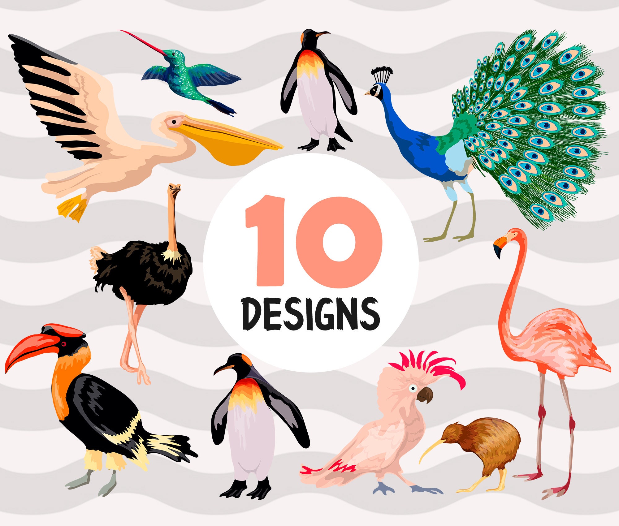 Exotic Birds Svg,exotic Birds SVG, Exotic Birds PNG, Exotic Birds ...