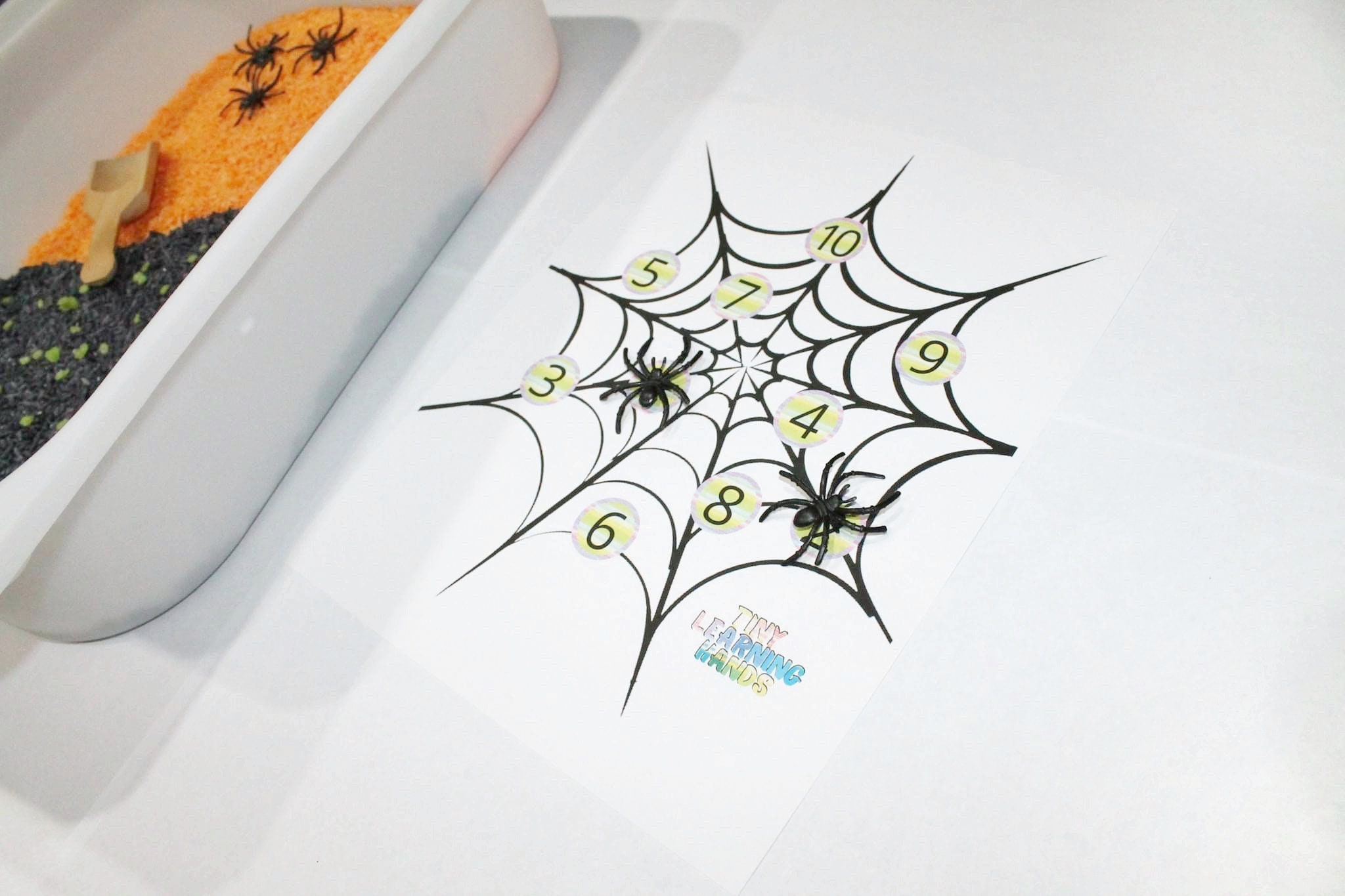 Halloween Sensory Bin Halloween Sensory Kit Sensory Kit - Etsy