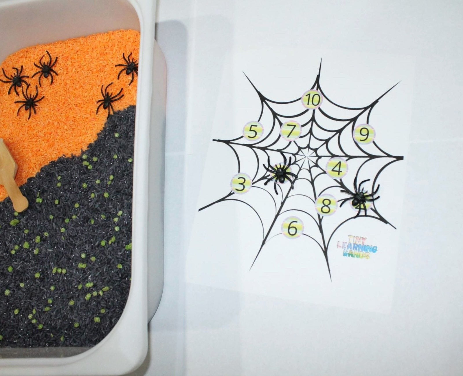 Halloween Sensory Bin Halloween Sensory Kit Sensory Kit - Etsy
