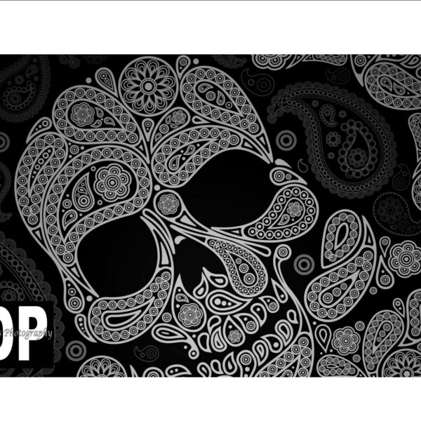 Paisley Decor - Etsy