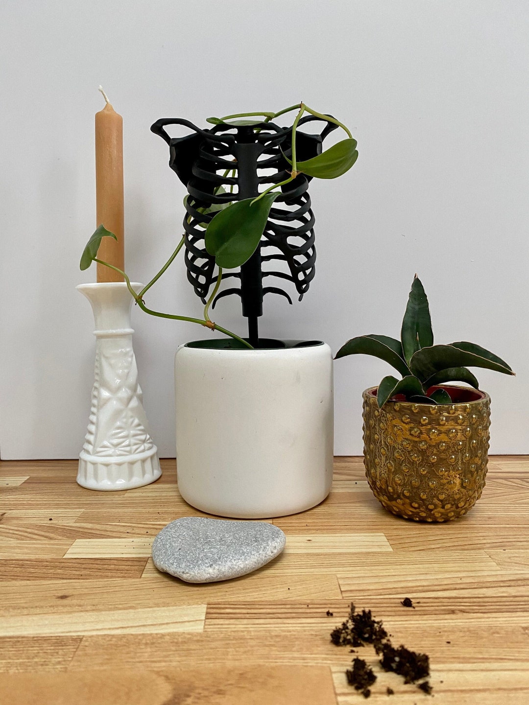 Houseplant Trellis|skeleton|rib Cage|plant Art|indoor Garden Decor|for ...