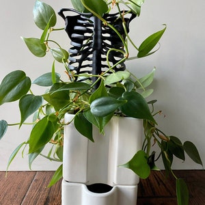 Houseplant Trellis|skeleton|rib Cage|plant Art|indoor Garden Decor|for ...