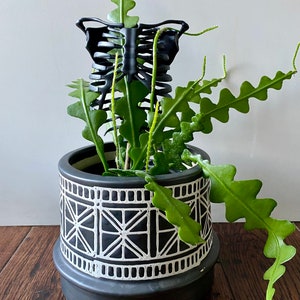 Houseplant Trellis|skeleton|rib Cage|plant Art|indoor Garden Decor|for ...