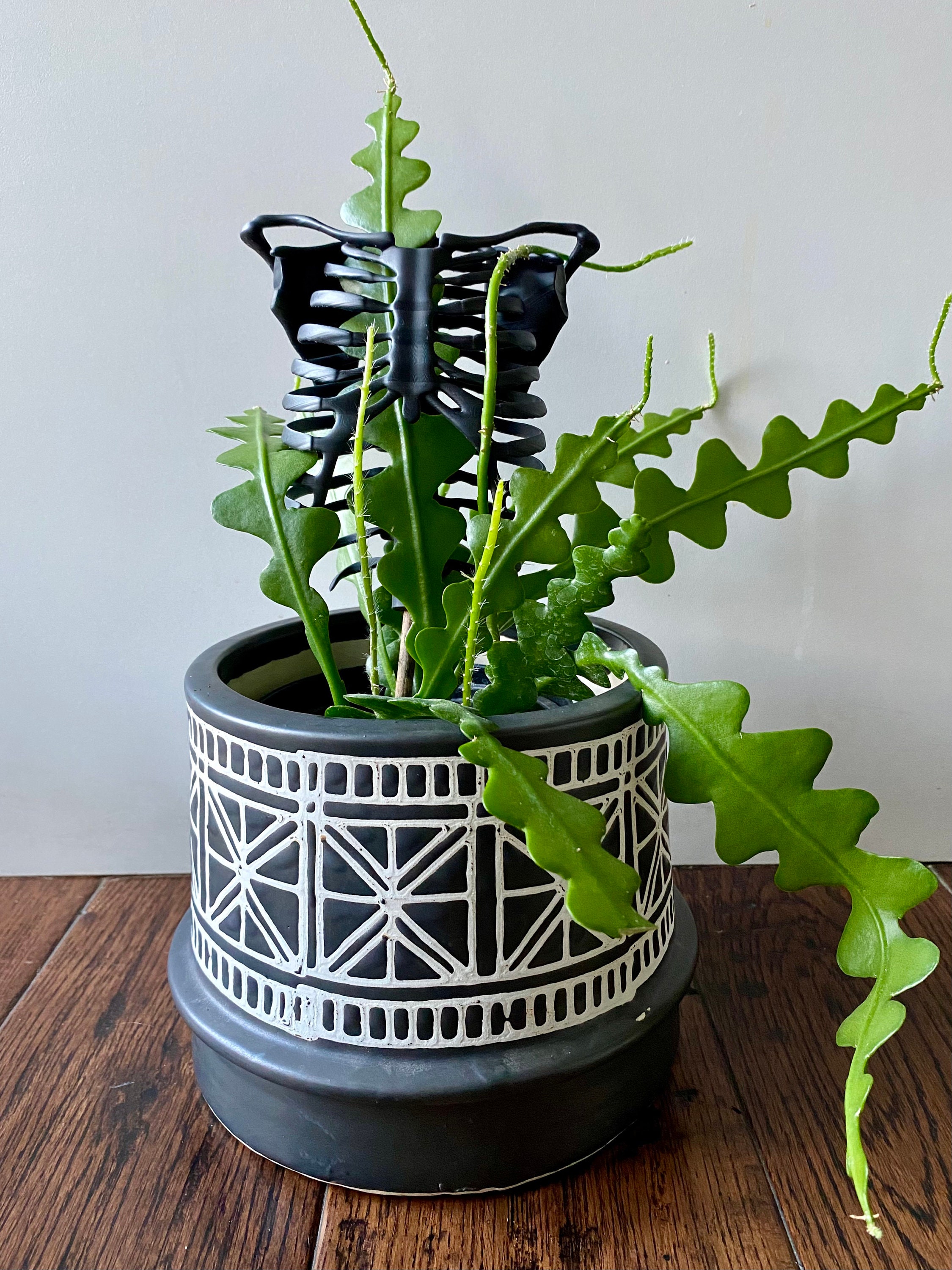Houseplant trellisSkeletonRib cagePlant | Etsy