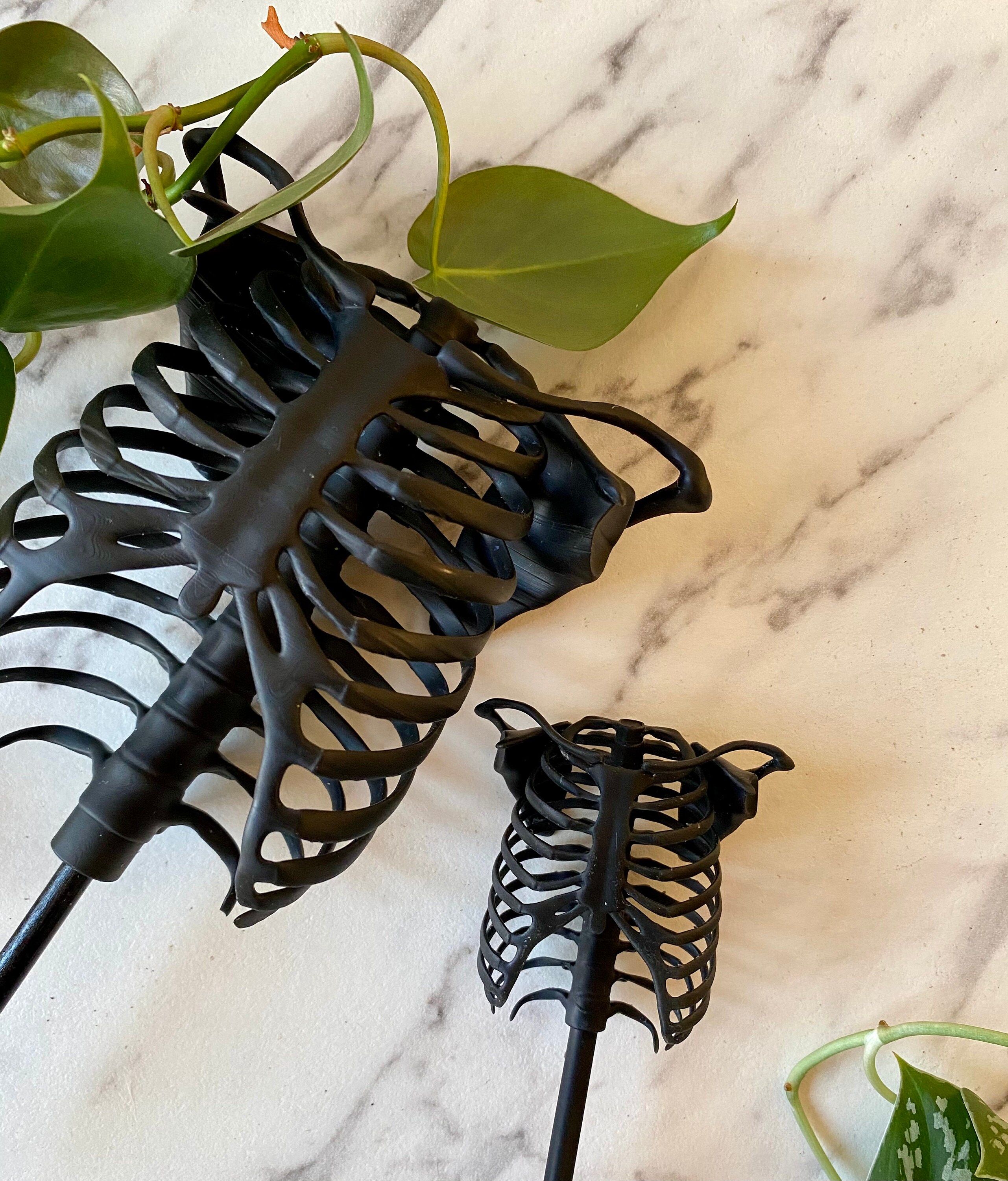 Houseplant trellisSkeletonRib cagePlant | Etsy