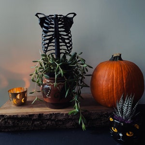 Houseplant Trellis|skeleton|rib Cage|plant Art|indoor Garden Decor|for ...