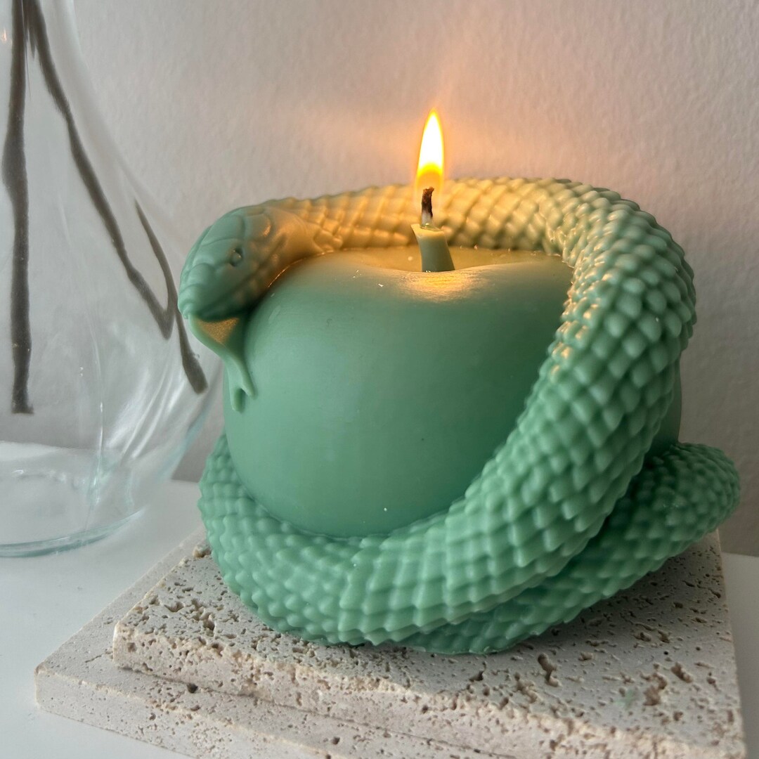 The Apple Snake Candle| Unique Candle| Custom Color Candle|aesthetic ...