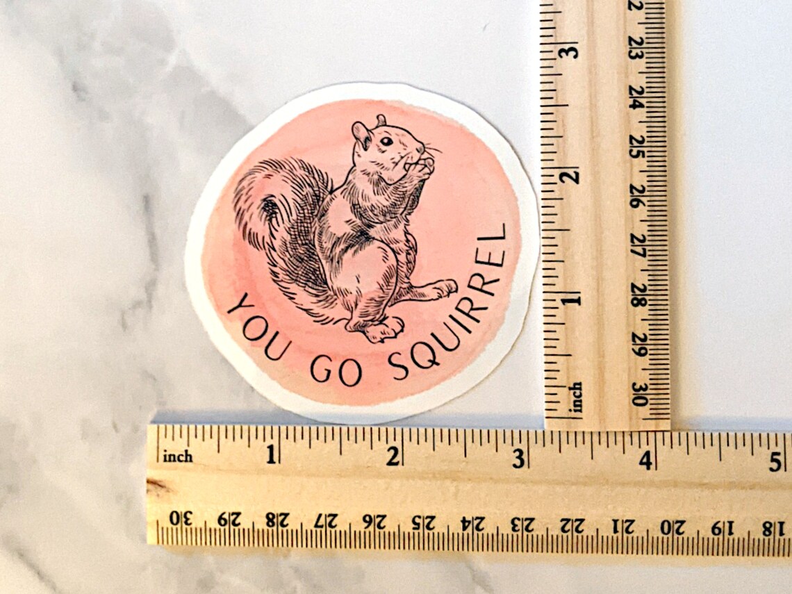 Vinyl Sticker You Go Squirrel 3 Sticker - Etsy