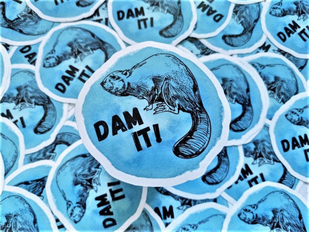 Vinyl Sticker, Dam It, Beaver Sticker - Etsy