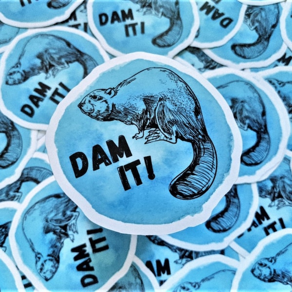 Beaver Dam - Etsy