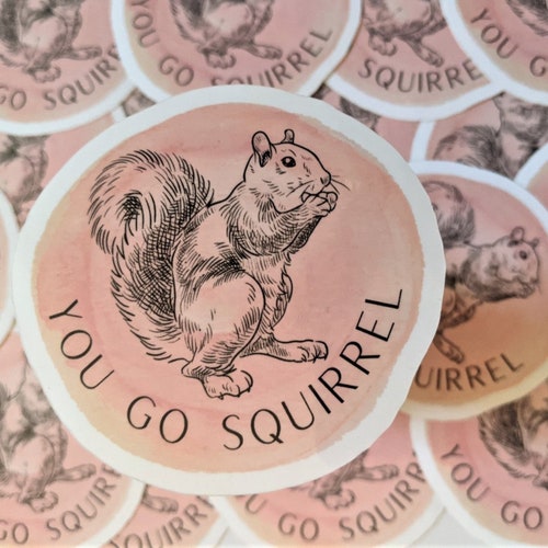 Squirrel Sticker - Etsy