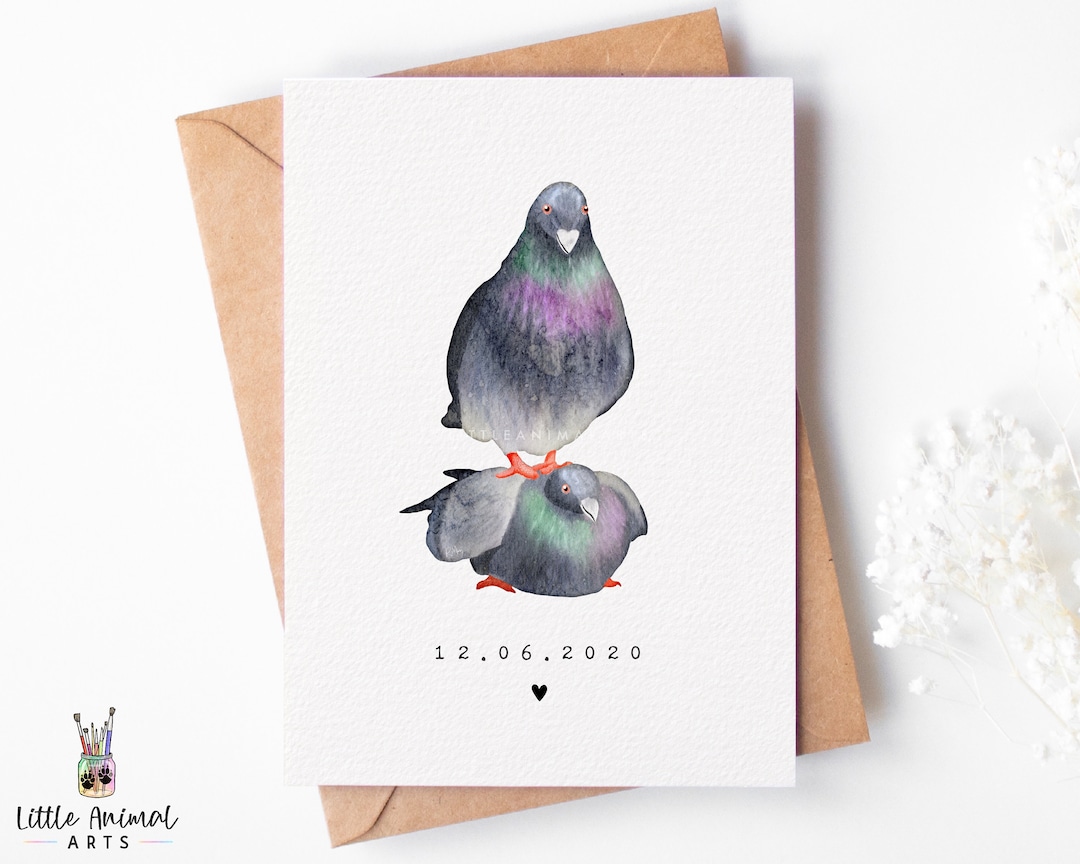 Pigeon Couple Card | Funny Pigeon Card, Pigeon Gift Ideas, Silly Pigeon ...