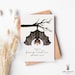 Bat Birthday Card Bat Cards Birthday Bat Card Personalised - Etsy