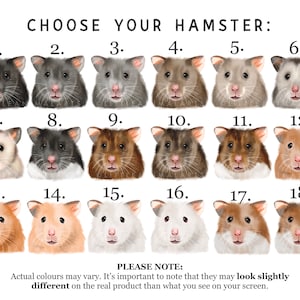Hamster Birthday Card | Personalised Hamster Card, Funny Hamster Card ...