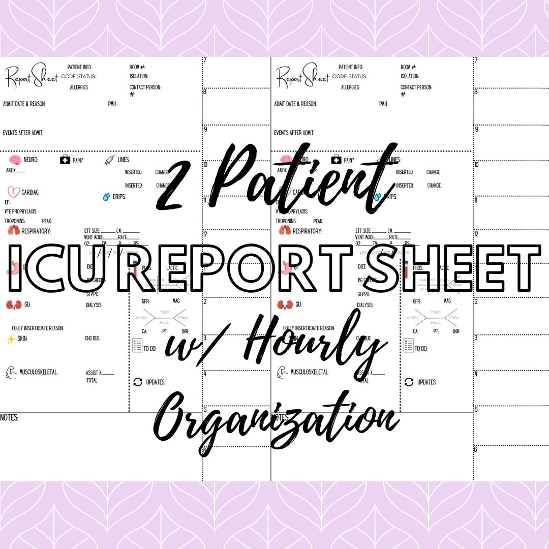 Two Patient Report Sheet Hourly Organization - Etsy