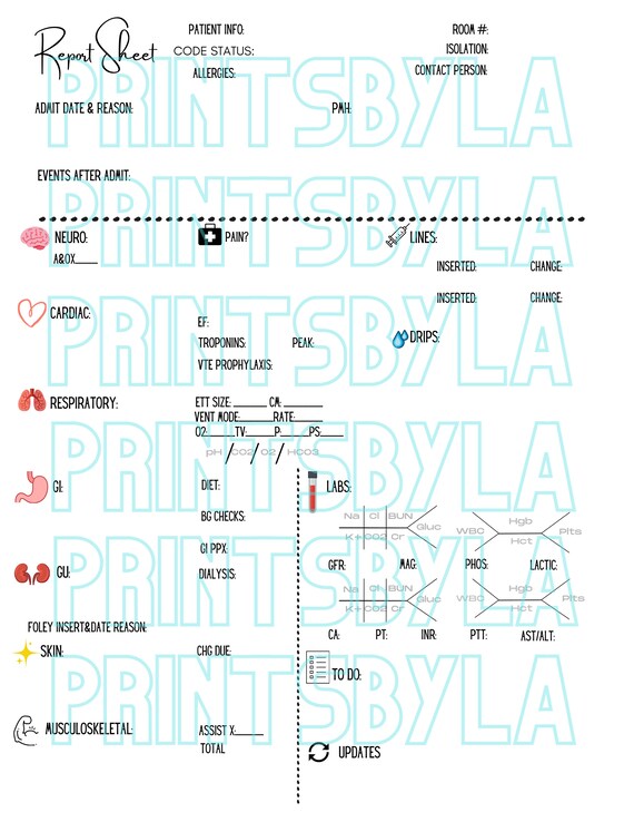 Two Patient ICU Nurse Shift Report Handoff Sheet Paper & Party Supplies ...