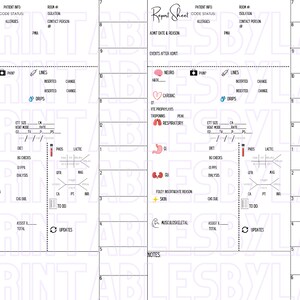 Two Patient Report Sheet Hourly Organization - Etsy