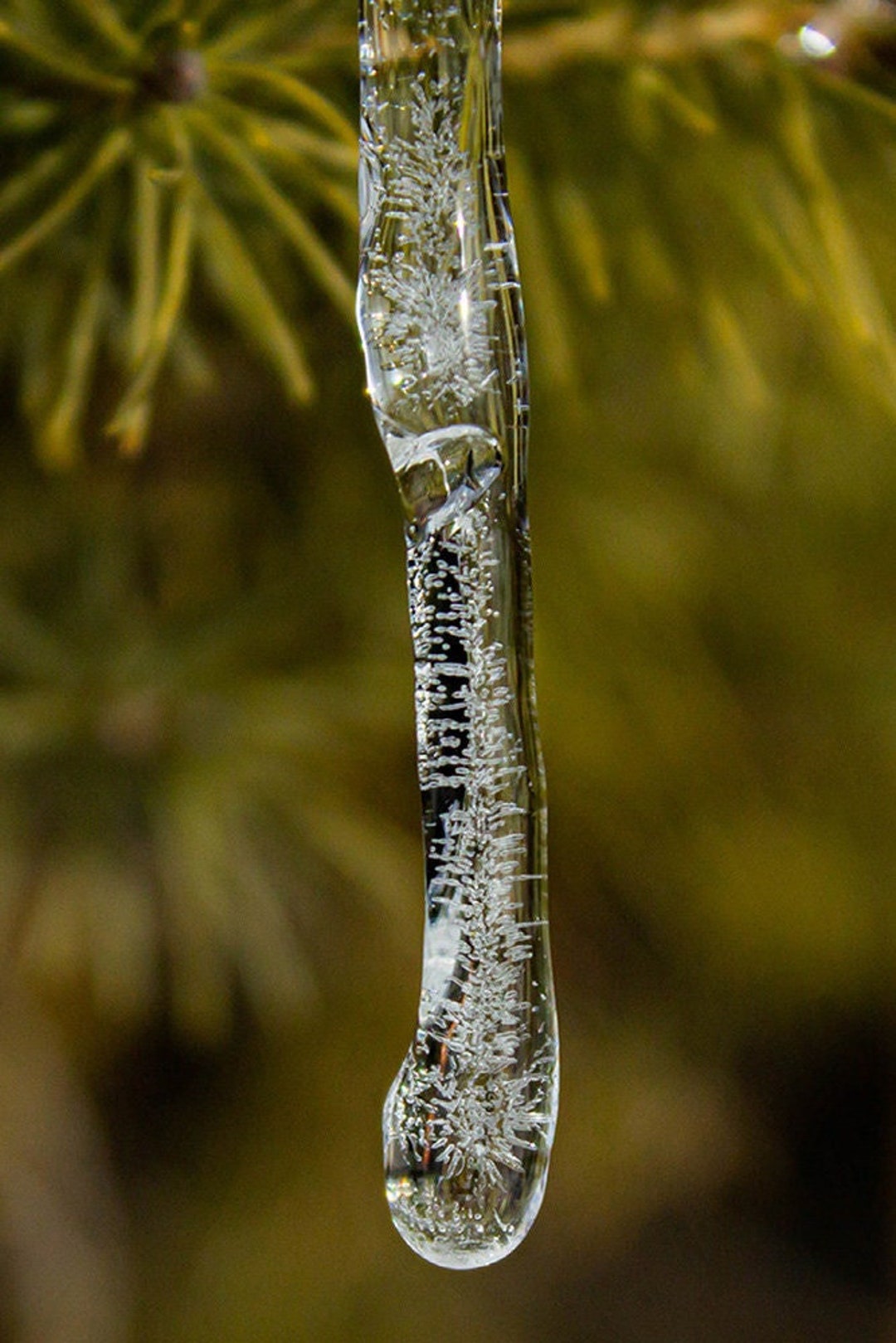 Icicle Photo, Digital Download Photo, Winter Photo, Outside Winter ...