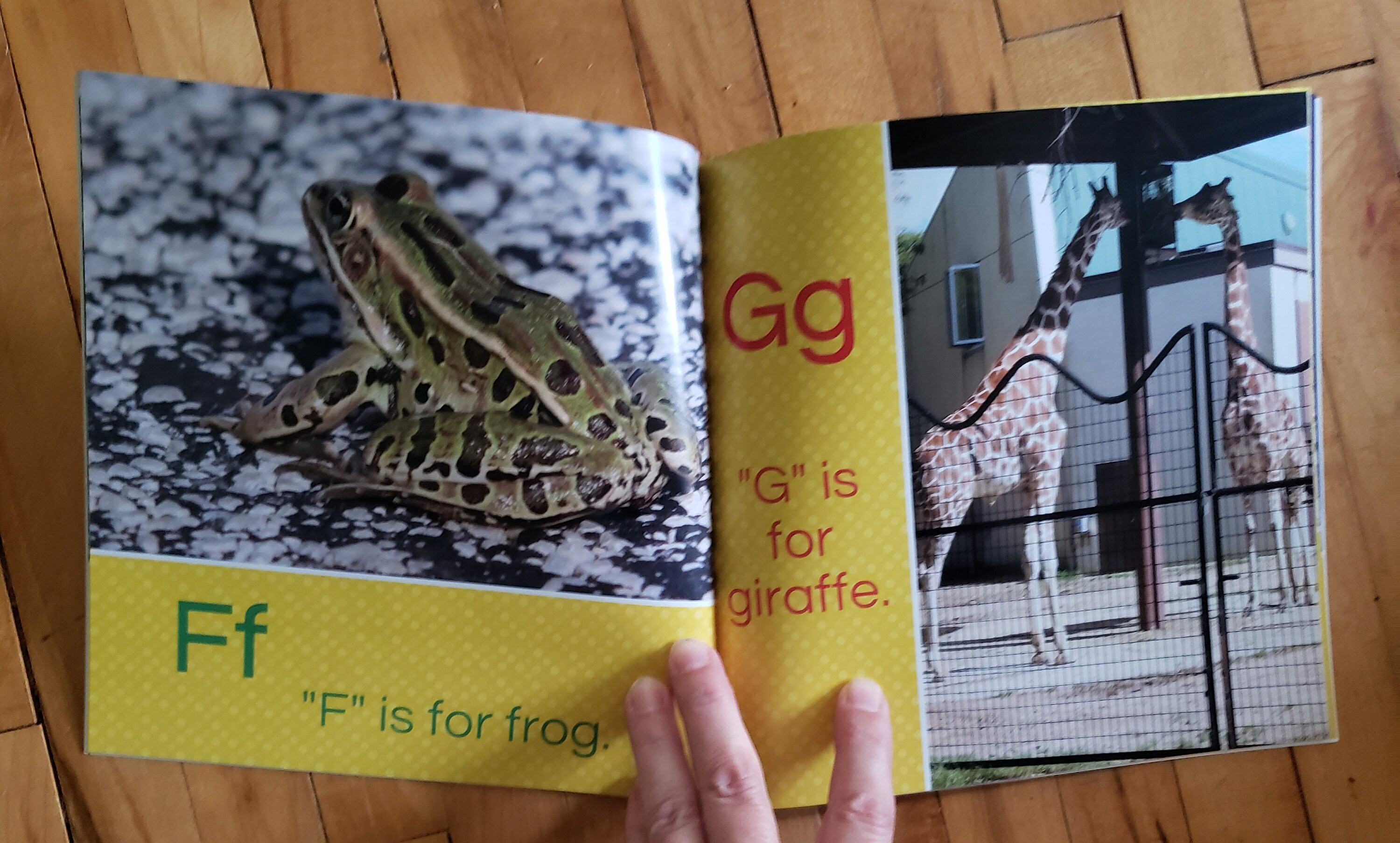 Photo ABC Book, Gifts for Kids, Children's Books, Storybook, Abc's ...