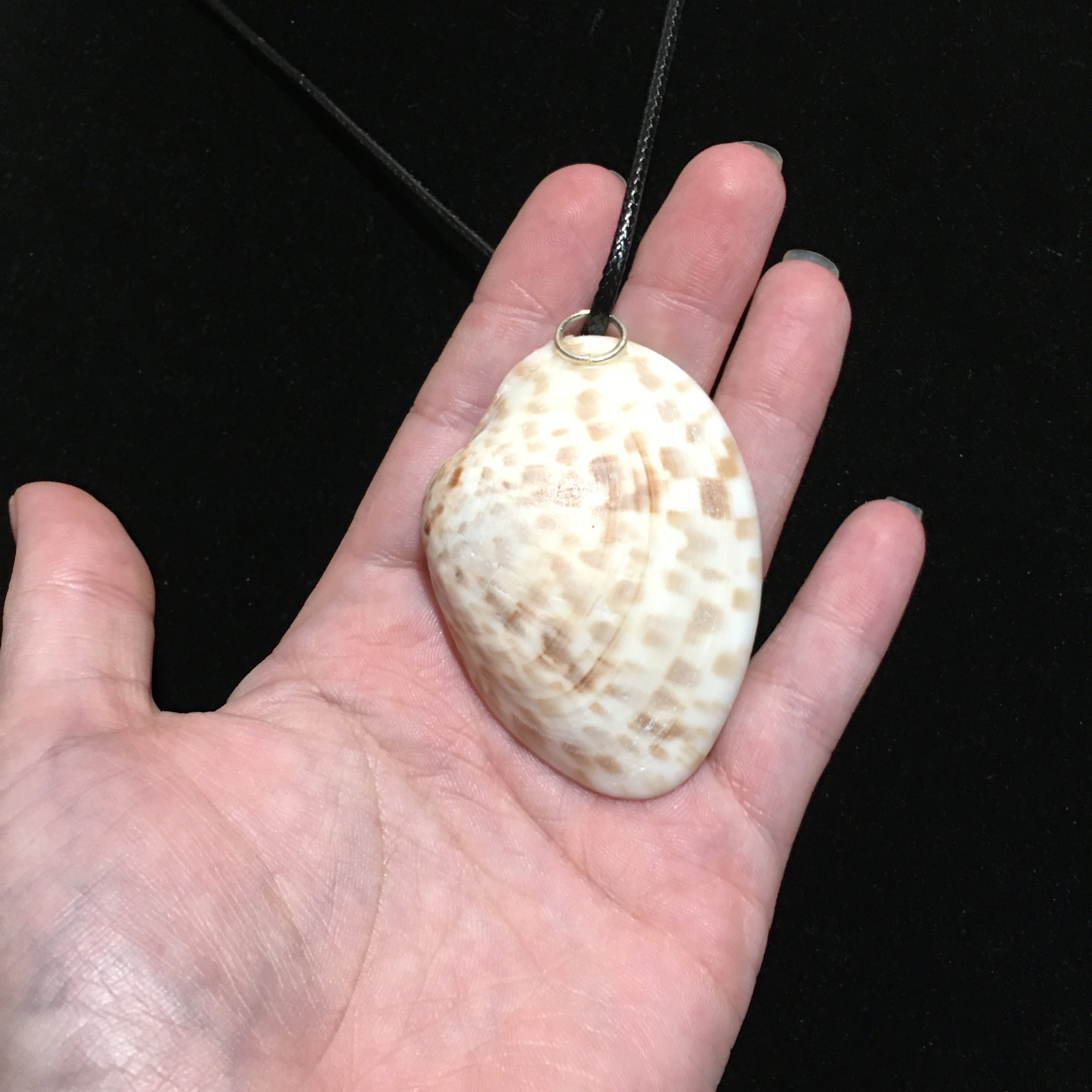 Sea Goddess YONI Seashell Pendant Necklace With Pearl - Etsy